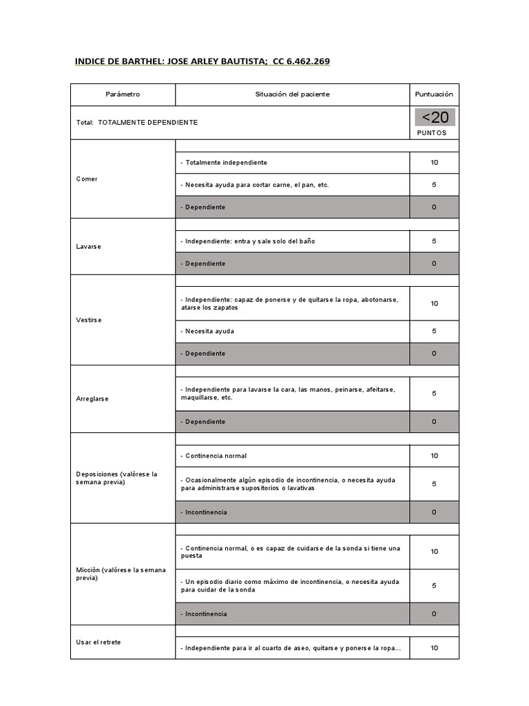 Indice Barthel | PDF