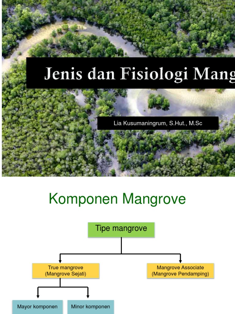 Kuliah 2 Jenis Dan Identifikasi Mangrove-Dikompresi | PDF