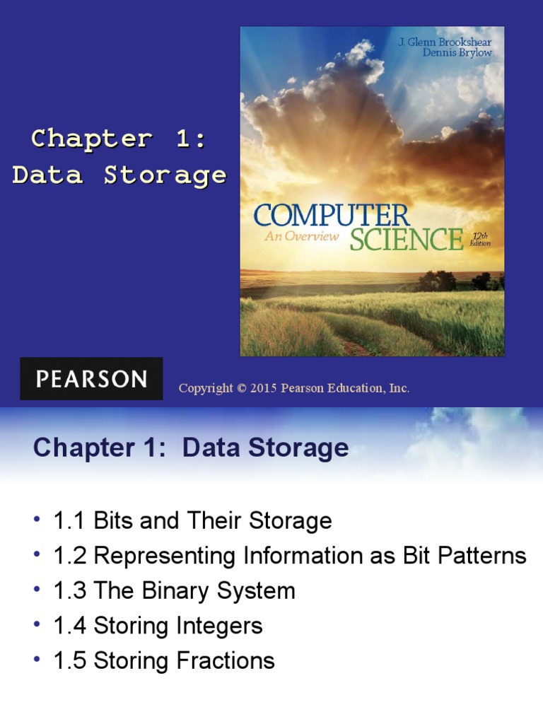 Data Storage | PDF | Random Access Memory | Ascii