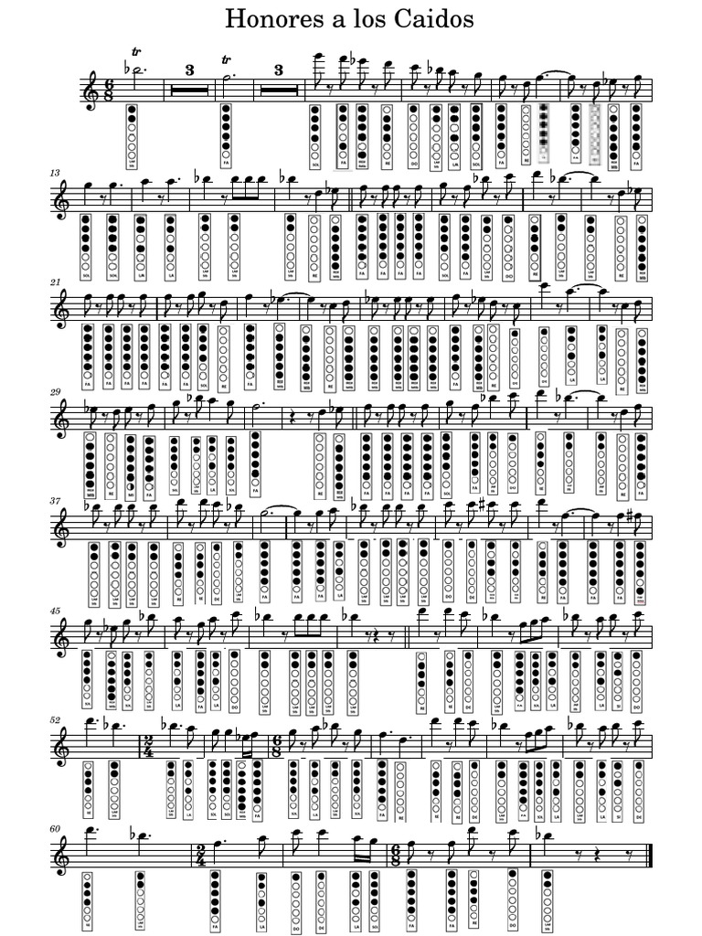 Honores A Los Caídos Pifano | PDF