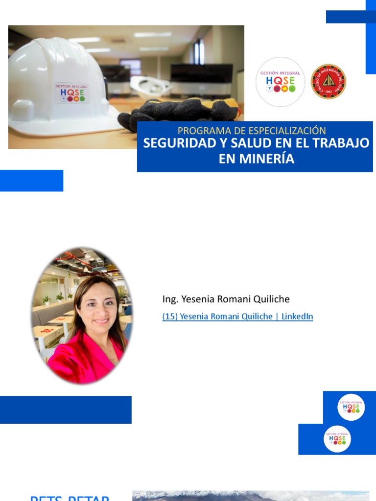 Seguridad Y Salud en El Trabajo en Minería: Programa de Especialización ...