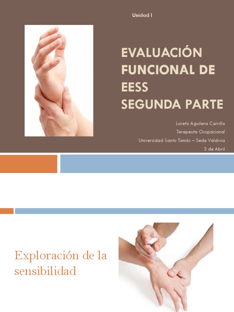 Evaluación Funcional de Eess Segunda Parte: Unidad I | PDF
