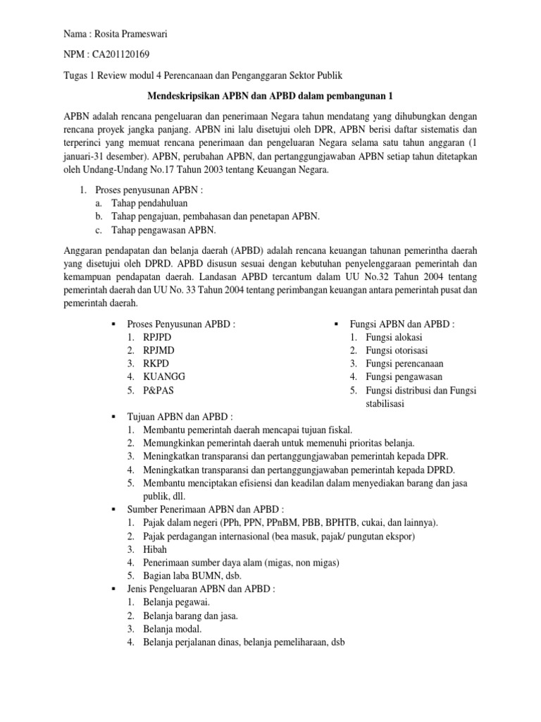 APBN dan APBD: Fungsi dan Proses Penyusunan | PDF | Bisnis