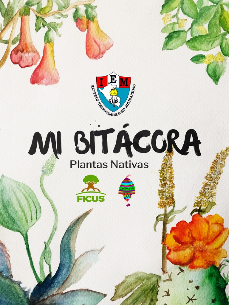 Mi Bitacora | PDF | Plantas | Botánica