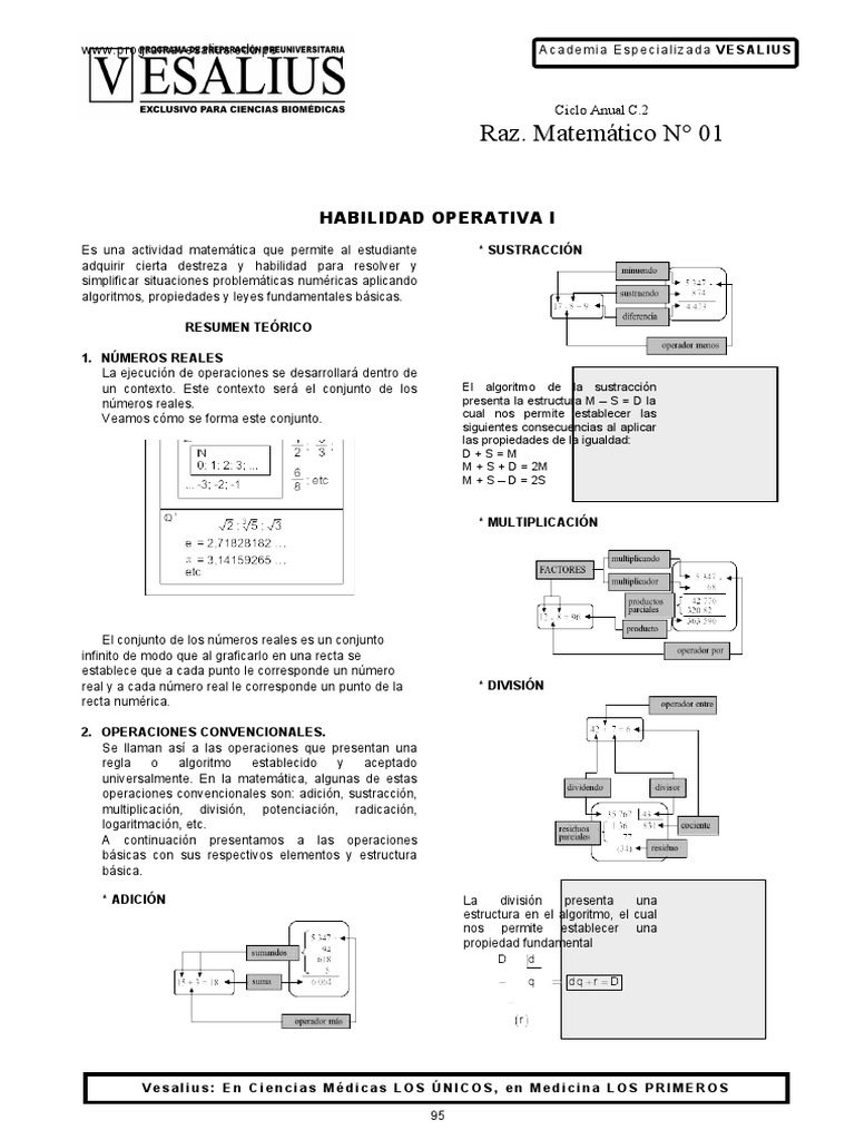 Raz. Mat (01) Habilidad Operativa 95-100 | PDF | Número Real | División (Matemáticas)