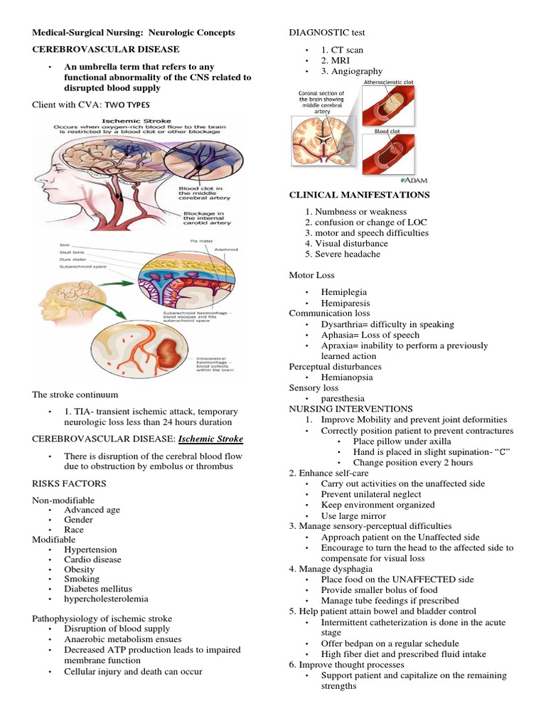 Neurological Concepts | PDF | Clinical Medicine | Diseases And Disorders