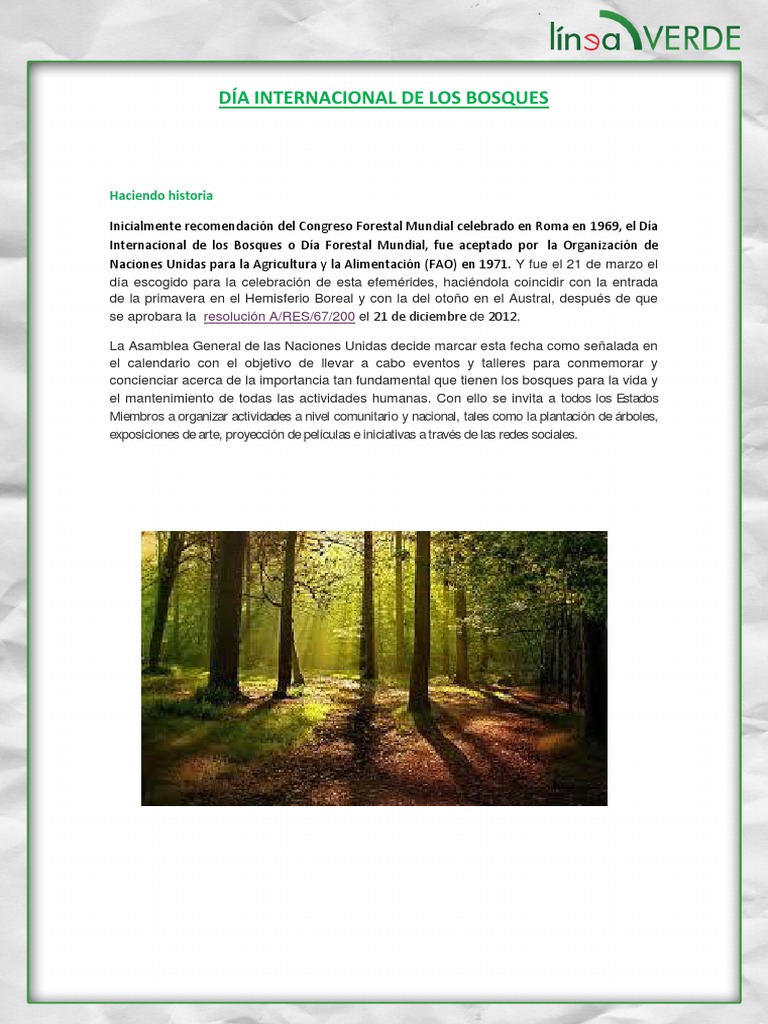 Dia Internacional de Los Bosques | PDF | Los bosques | Suelo