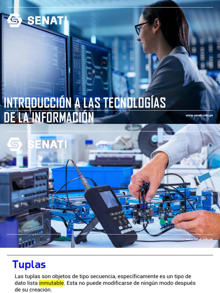 Unidad 13 Tuplas | PDF