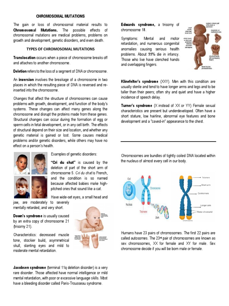 Chromosomal Mutations | PDF | Genetic Disorder | Chromosome