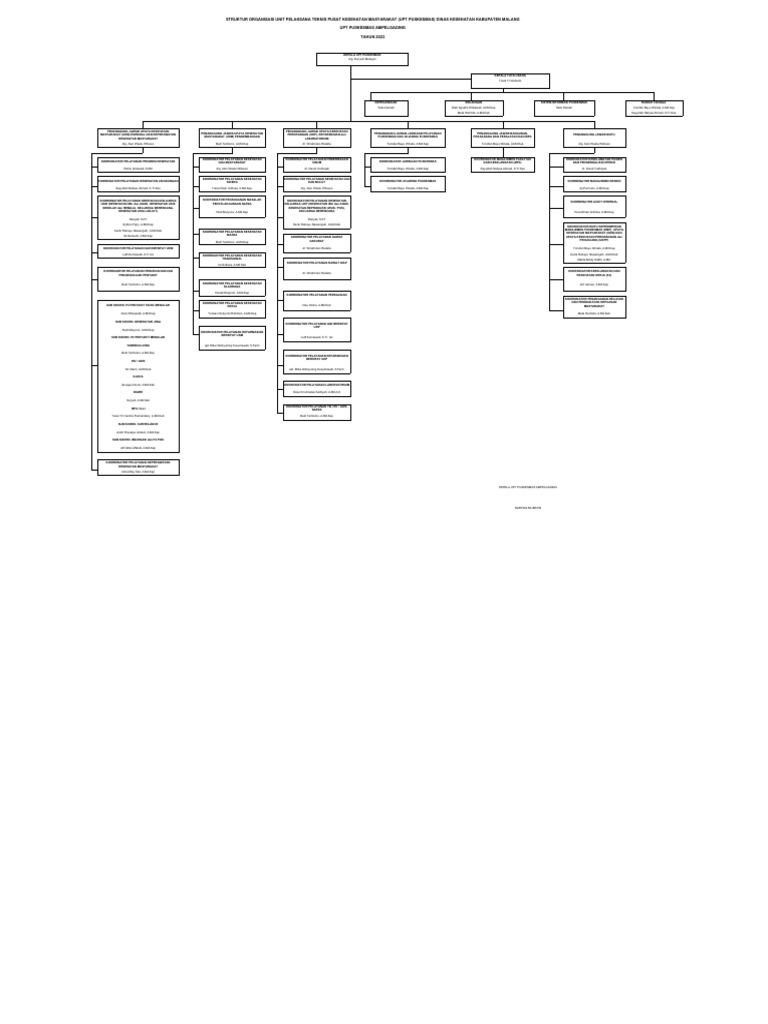 Struktur Organisasi UPT Puskesmas | PDF