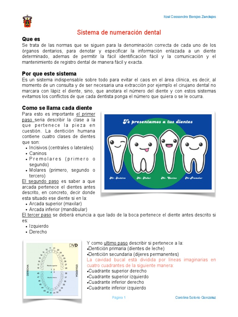 Sistema de Numeracion Dental | PDF | Diente | Anatomia animal
