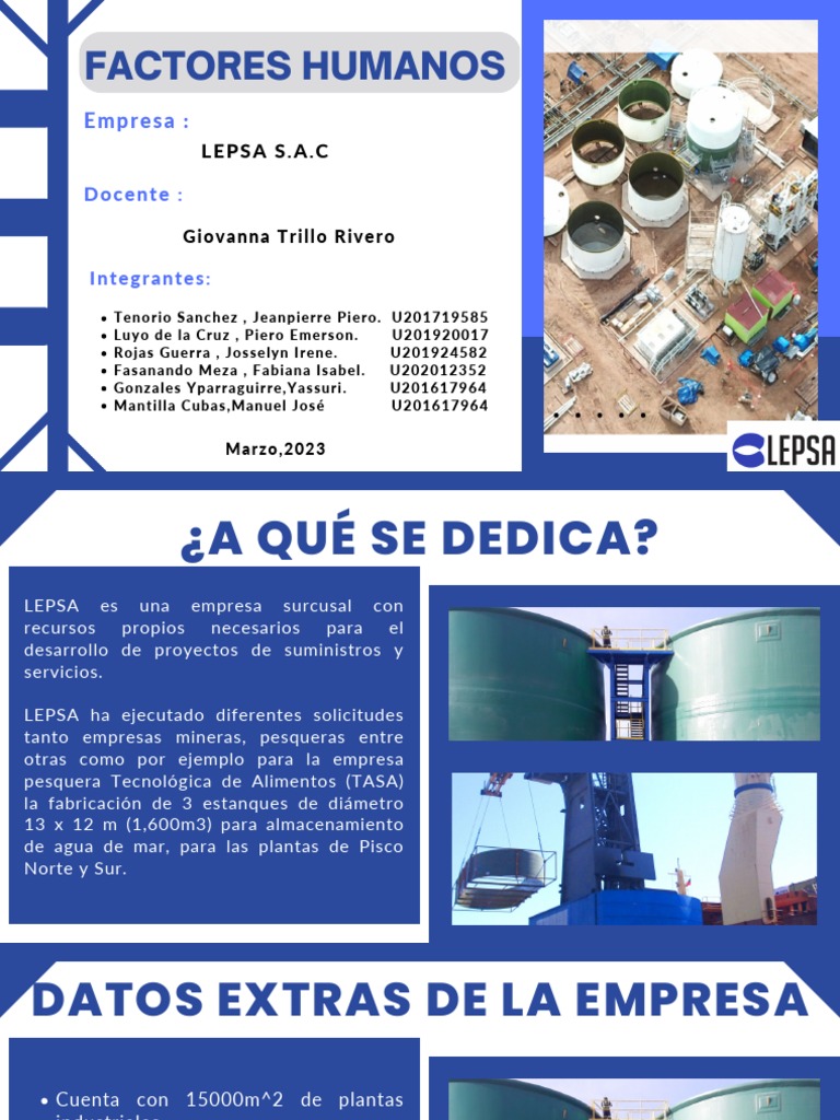 LEPSA S.A.C: Proyectos y Recursos Humanos | PDF