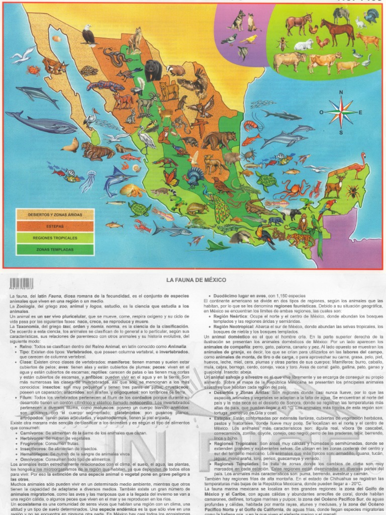 Fauna de Mexico | PDF