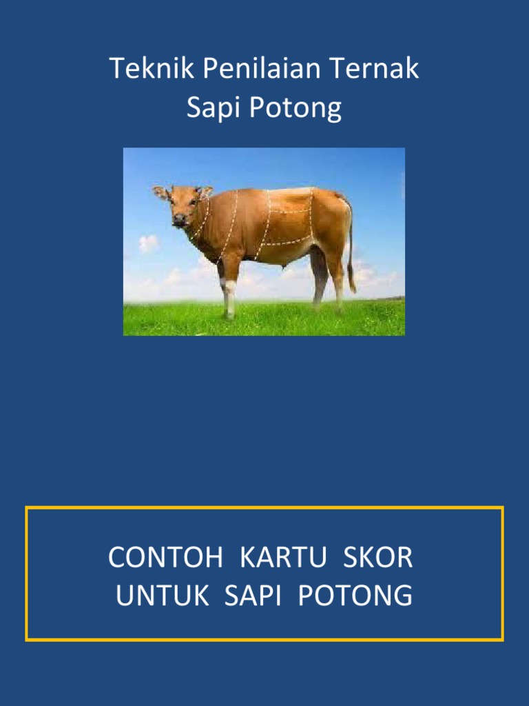 Penilaian Ternak Sapi Potong | PDF
