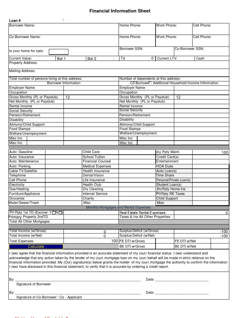 Financial Information Sheet: Bal 1 Bal 2 TTL | PDF | Race And Ethnicity ...