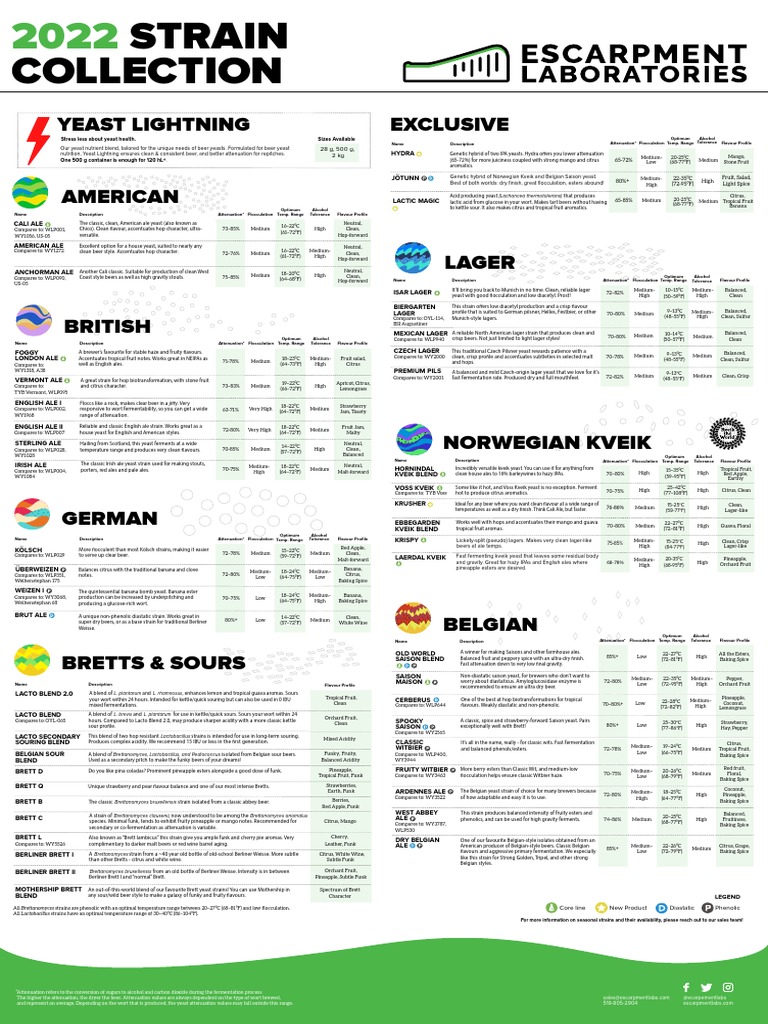 Strain Poster FINAL | PDF | Beer | Ale