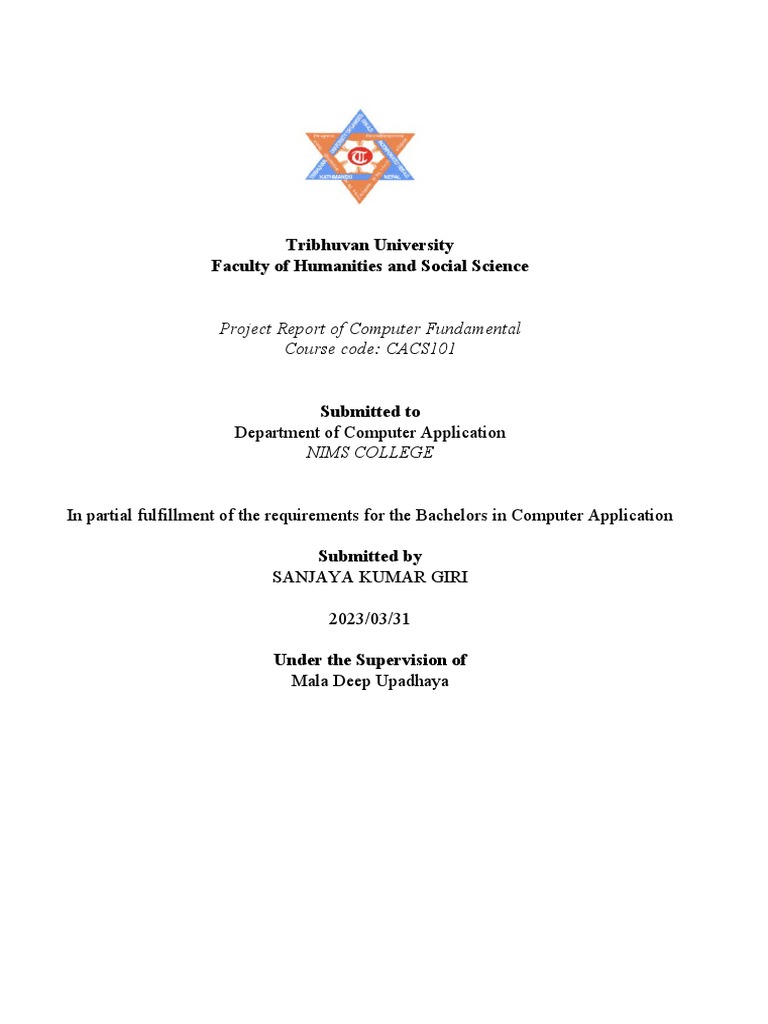 BCA Project Lab Report | PDF