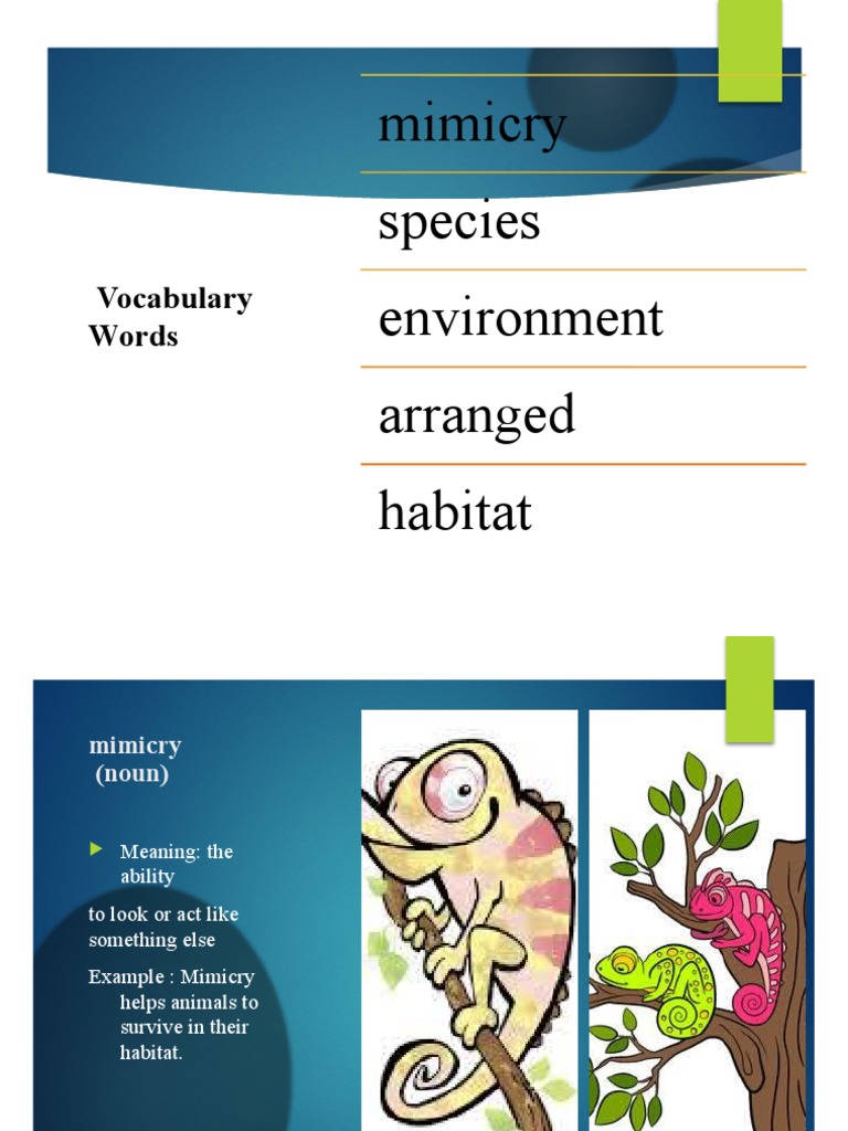 Mimicry Species Environment Arranged Habitat: Vocabulary Words | PDF ...