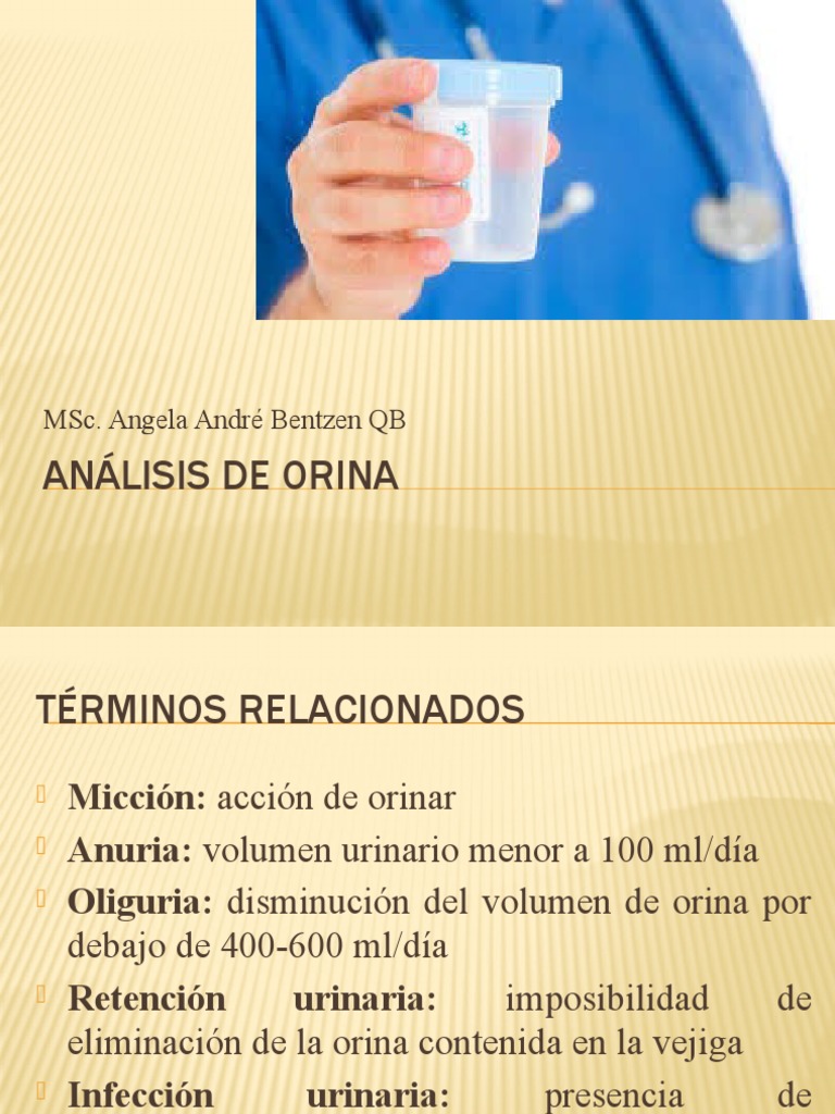 Análisis de Orina: Msc. Angela André Bentzen QB | PDF | Orina | Sistema ...