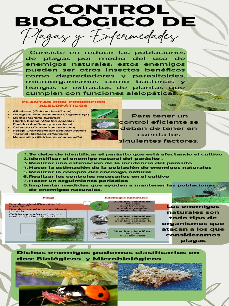 Control Biológico de Plagas y Enfermedades | PDF