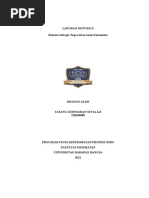 Laporan Skrining Denver II Anak 3 Tahun | PDF