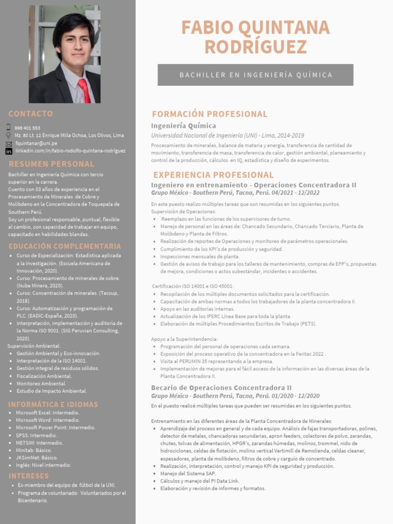 CV Fabio Quintana | PDF | Ingeniería Química | Ciencias fisicas