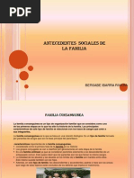 Qué Es Una Familia Sindiásmica | PDF | Ciencias sociales