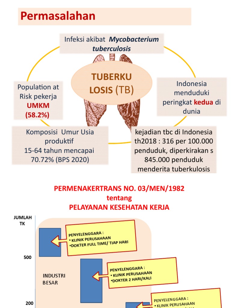 Contoh Infografis TBC | PDF
