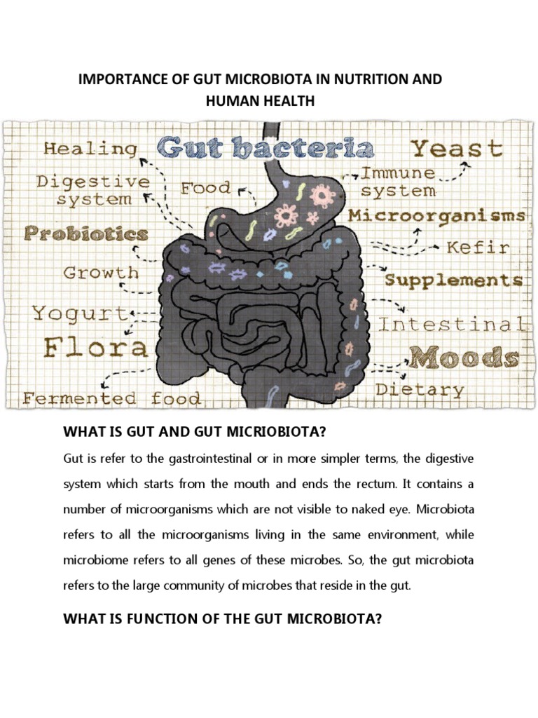 What Is Microbiota | PDF | Gastrointestinal Tract | Microorganism