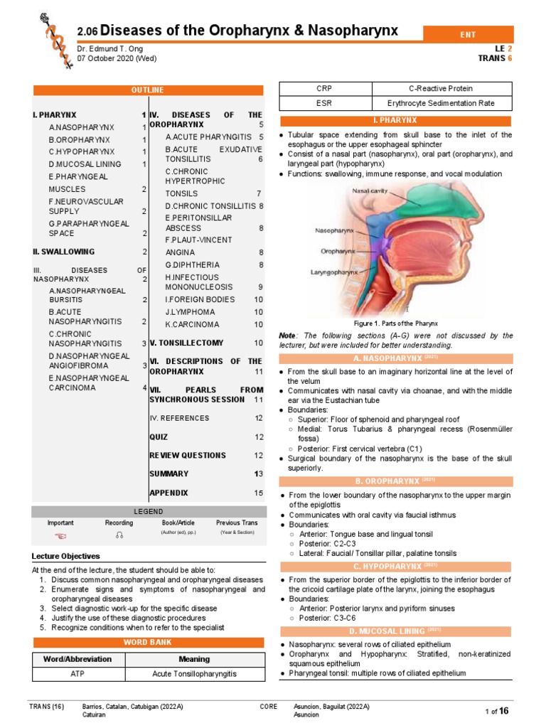 (ENT) 2.06 Diseases of The Oropharynx and Nasopharynx - Ong (Oct 7) | Download Free PDF ...