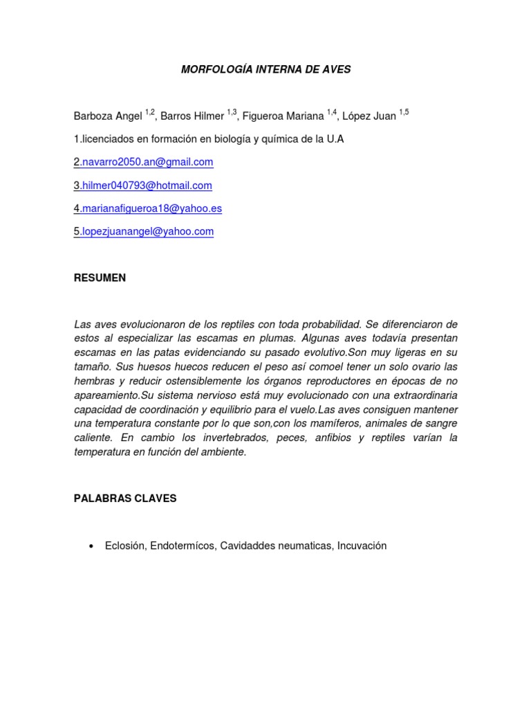 Morfología Interna de Aves | PDF | Aves | Pollo