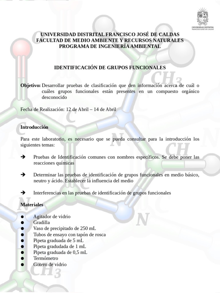6 Identificación De Grupos Funcionales Descargar Gratis Pdf 7925