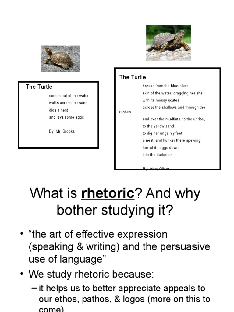 Rhetorical Devices | PDF | Poetry | Logos