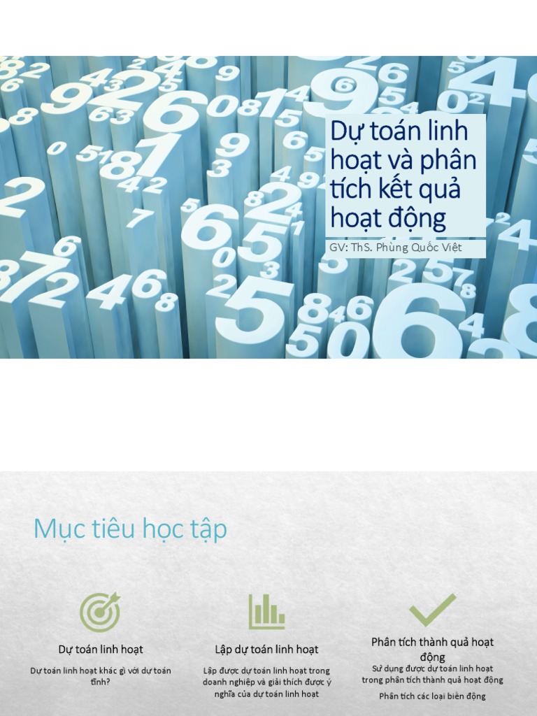 Dự toán linh hoạt và phân ch kết quả hoạt động | PDF