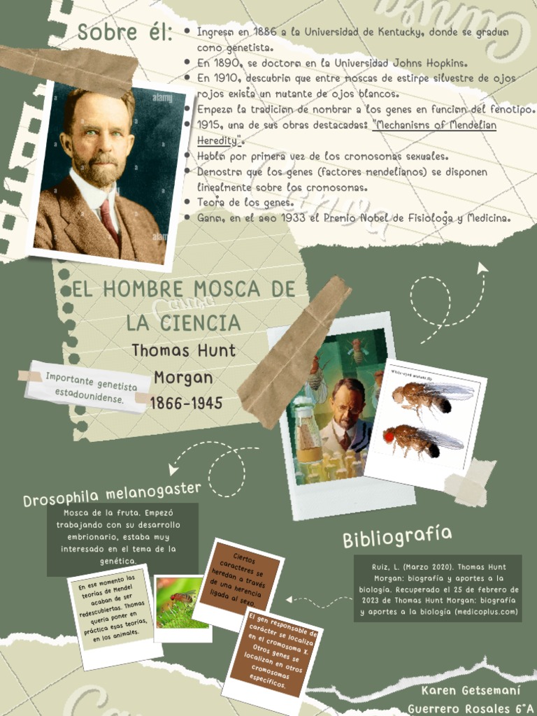 El Hombre Mosca de La Ciencia | PDF | Ciencias de la vida | Biología