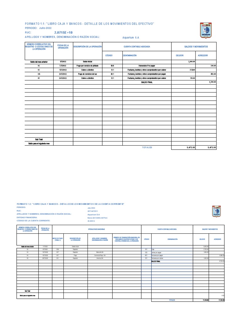 Formato 1.1: "Libro Caja Y Bancos - Detalle de Los Movimientos Del ...