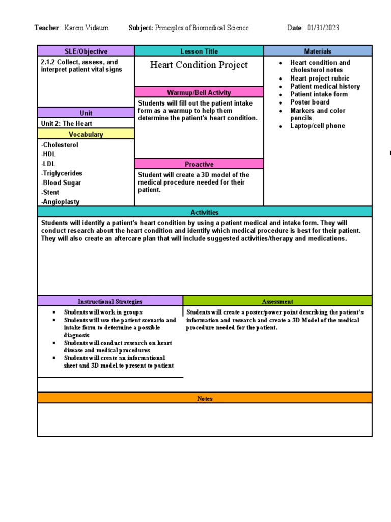 Lesson Plan Heart Project | PDF | Cardiovascular Diseases | Medicine