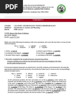 Directional Terms Worksheet | PDF | Anatomical Terms Of Location | Elbow