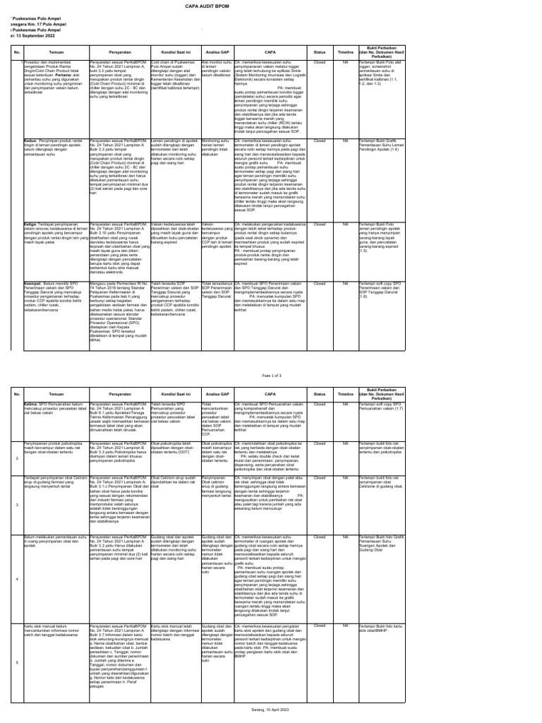 MATRIKS CAPA PKM PULO AMPEL | PDF