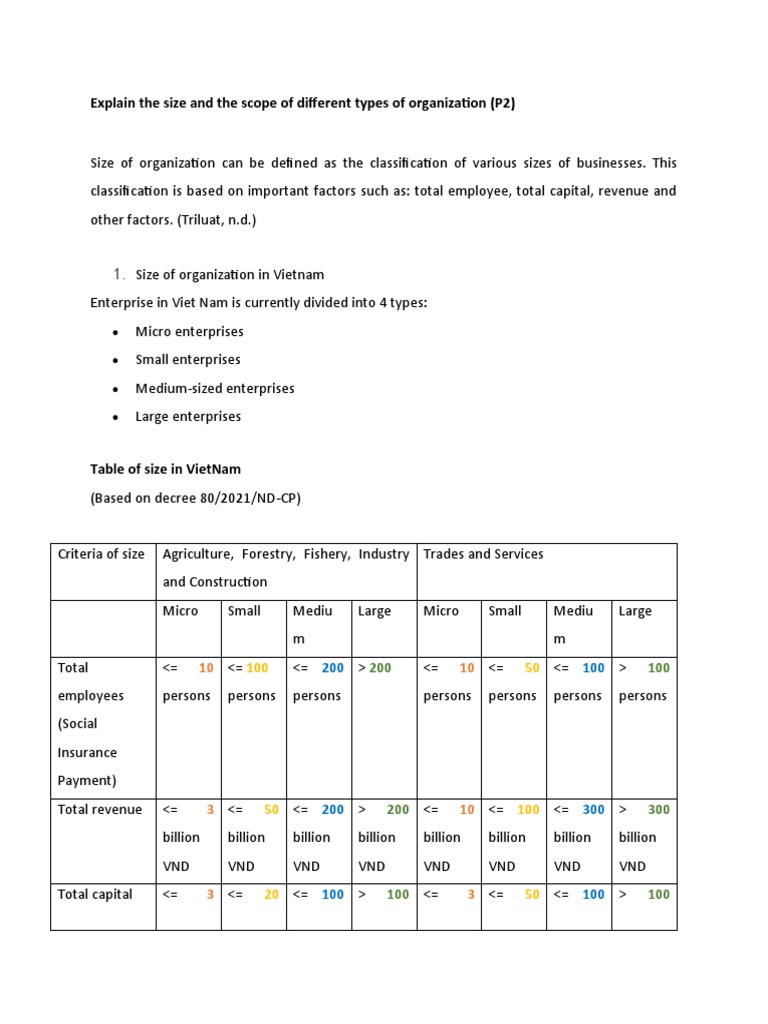 Explain The Size and The Scope of Different Types of Organization | PDF ...