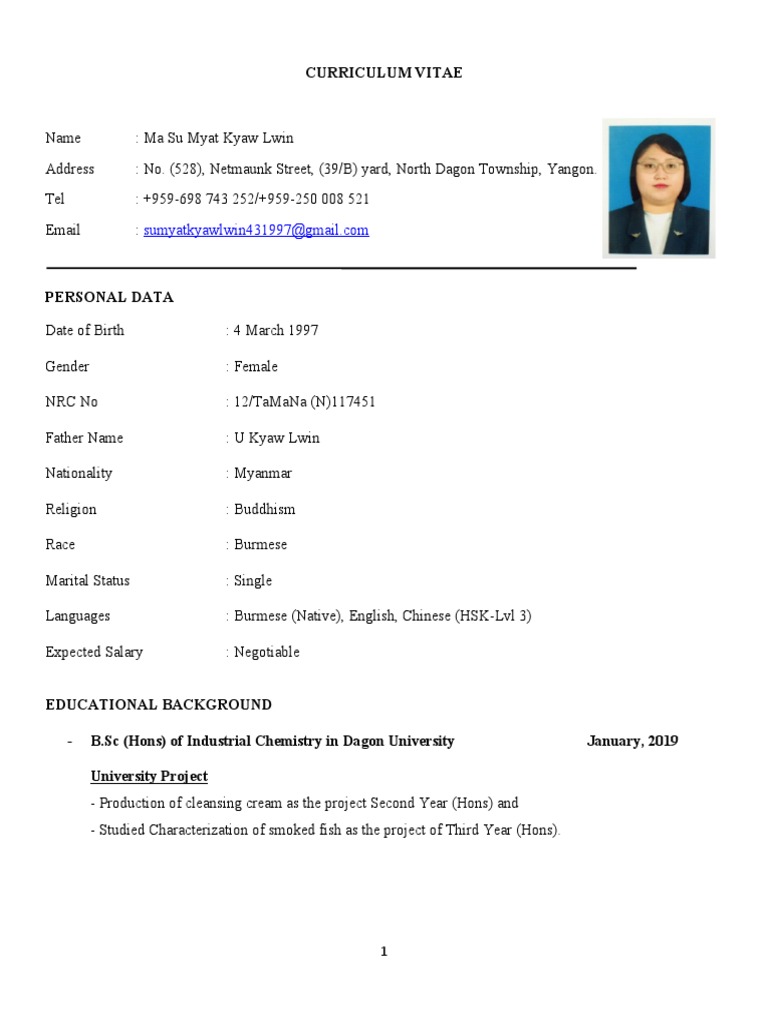Curriculum Vitae | PDF | Myanmar