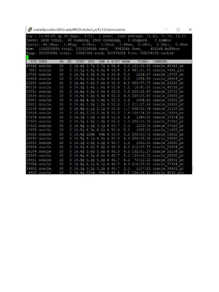 Putty Screenshot | PDF