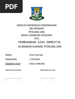 Maksud Dan Definisi Sisa Domestik | PDF