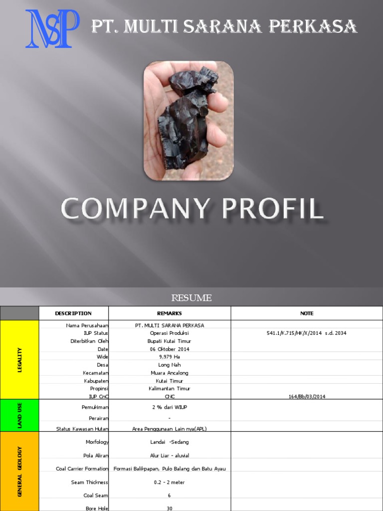 Pany Profil PT - MSP | PDF