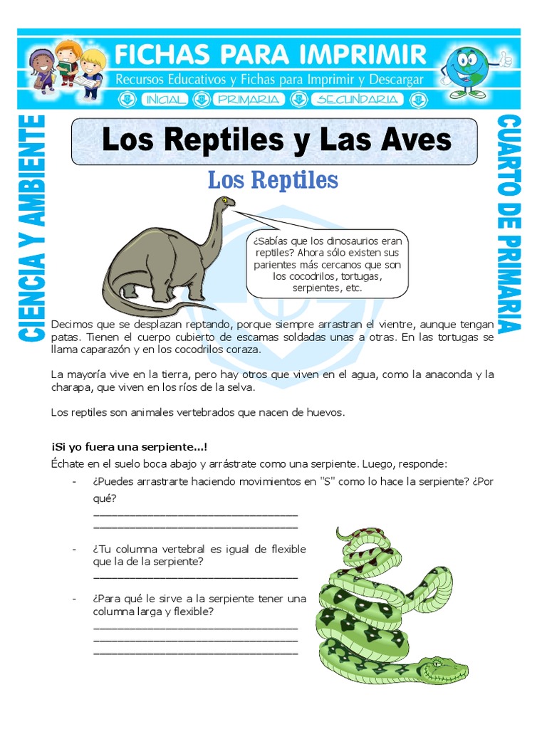 Ficha Los Reptiles y Las Aves para Cuarto de Primaria | PDF | Serpiente ...