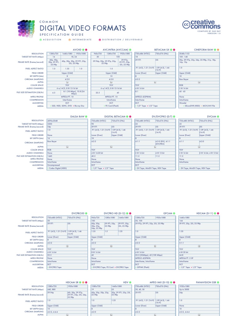 Digital Video Formats Specification Guide | PDF