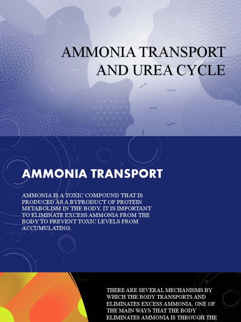 Ammonia Transport and Urea Cycle | Download Free PDF | Urea | Ammonia
