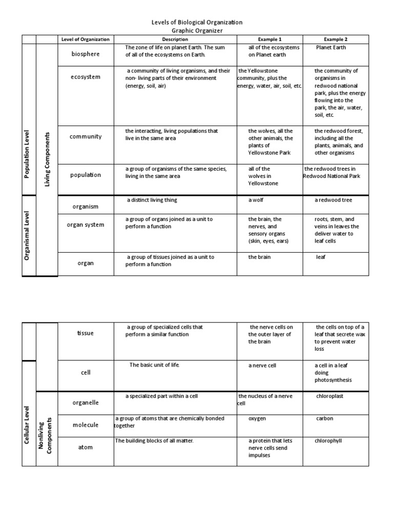 Level - of - Biological - Organization FA | PDF | Leaf | Cell (Biology)