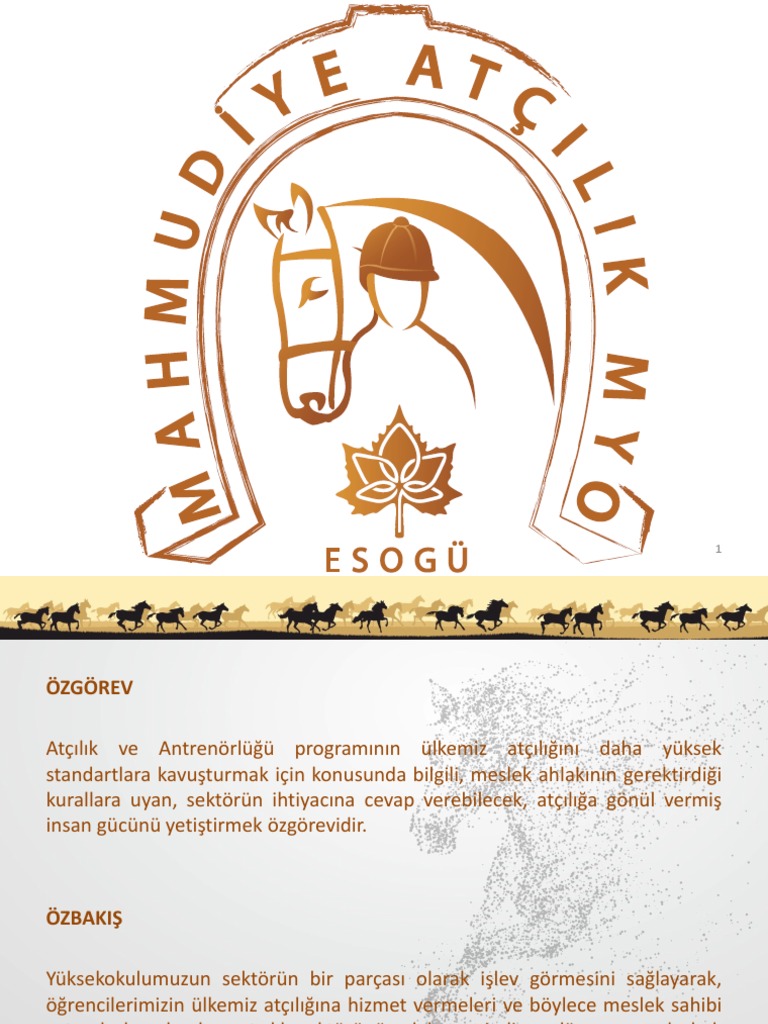 Mamyo Katalog | PDF