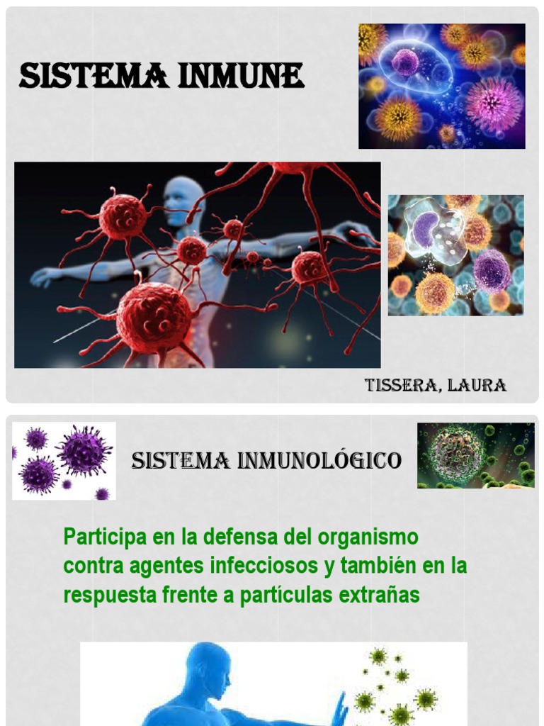 Inmune | PDF | Sistema inmune | Linfocitos